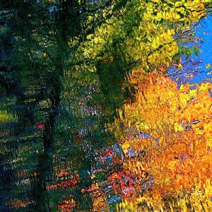 25 Great Pictures of the Fall Colors - World inside pictures