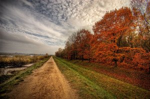 25 Great Pictures of the Fall Colors - World inside pictures
