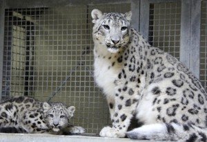 20 Beautiful Animals Photos That You Have To See - World inside pictures