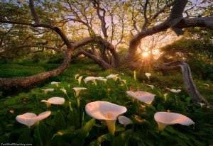 Nature in The Landscapes Of Marc Adamus - World inside pictures