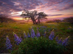 Nature in The Landscapes Of Marc Adamus - World inside pictures