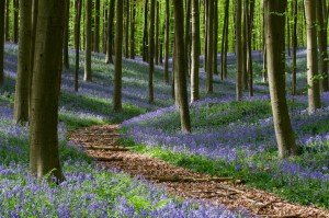 22 Beautiful Places To See The Signs Of Spring - World inside pictures