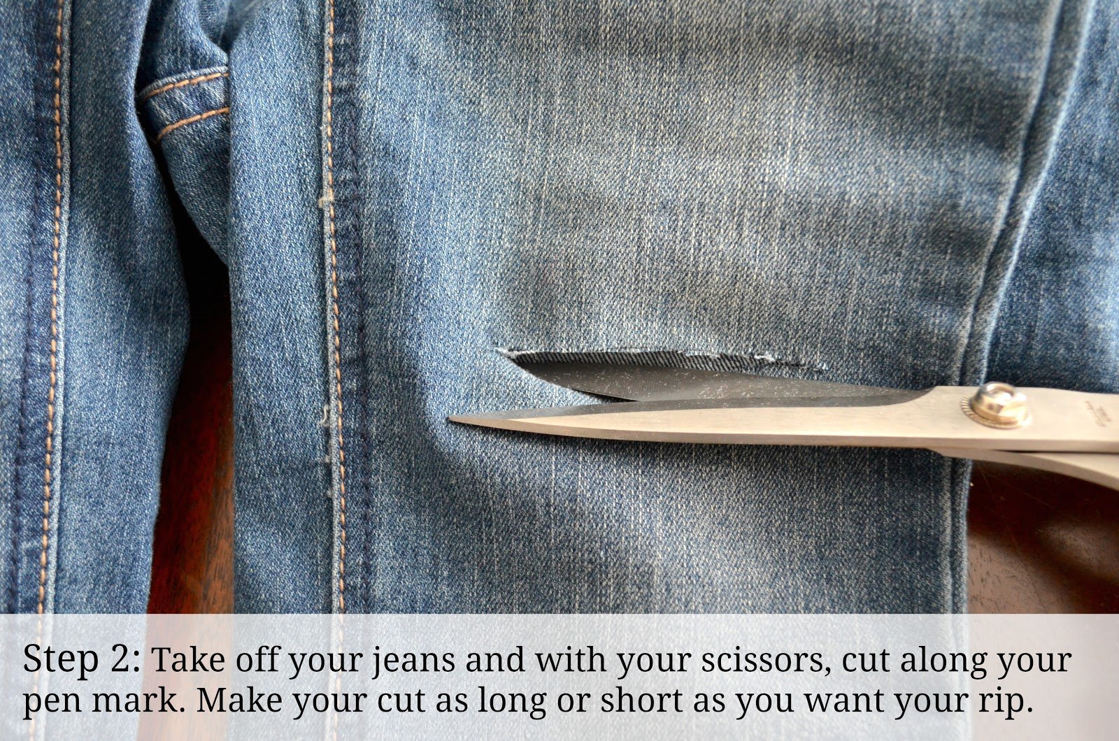 - World inside pictures