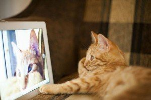 20 Photos That Will Make Your Brain Explode With Happiness - World ...