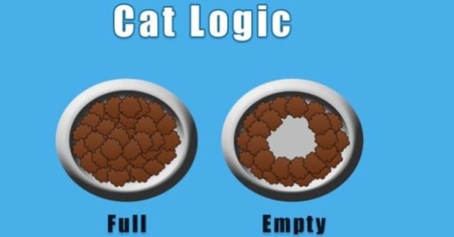 18 Funny Pieces Of Cat Logic Every Cat Owner Will Understand - World ...