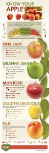 12 Amazing Super Useful Kitchen Cheat Sheets You Should Know About ...