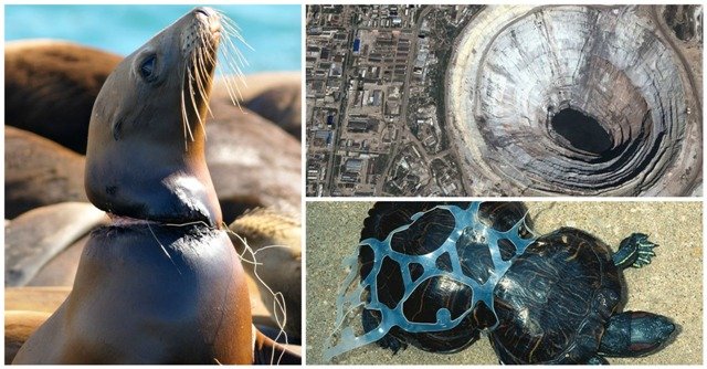 These 12 Photos of Earth's Devastation Will Break Your Heart - World ...