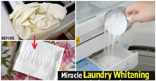 Best Incredible Laundry Whitening Solution That You Should Know Right ...