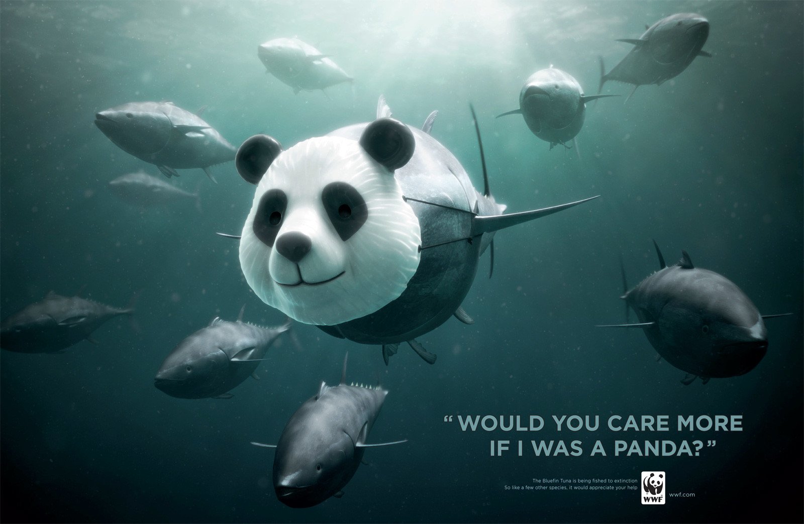 12 Best And Absolutely The Most Striking Environmental Campaign Ads We ...