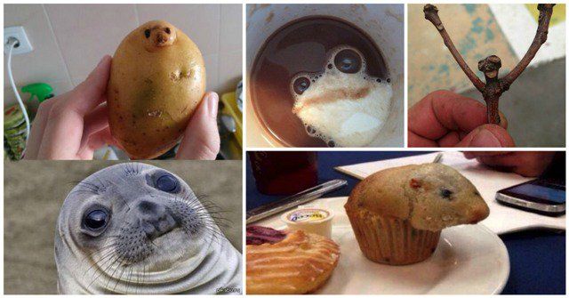 8 Unbelievably Amazing Things That Look Like Something Else At First ...