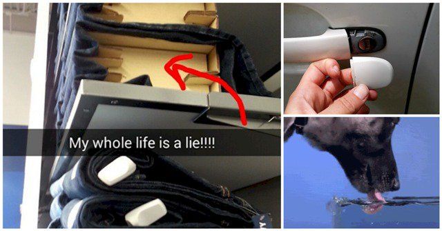 11 Unbelievable Pictures That Will Make You Question Everything You ...
