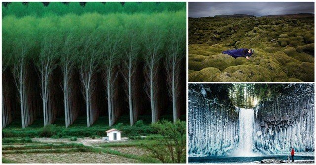 10+ Extremely Amazing Photos That Prove Just How Enormous And ...