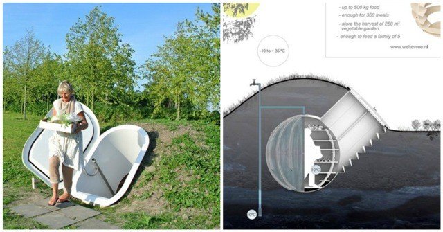 This Modern Underground Fridge Keeps Fruits And Vegetables Cool Without ...