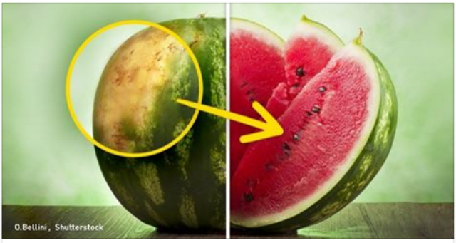 Absolutely Useful: How To Pick a Perfect Watermelon, Tips From An ...