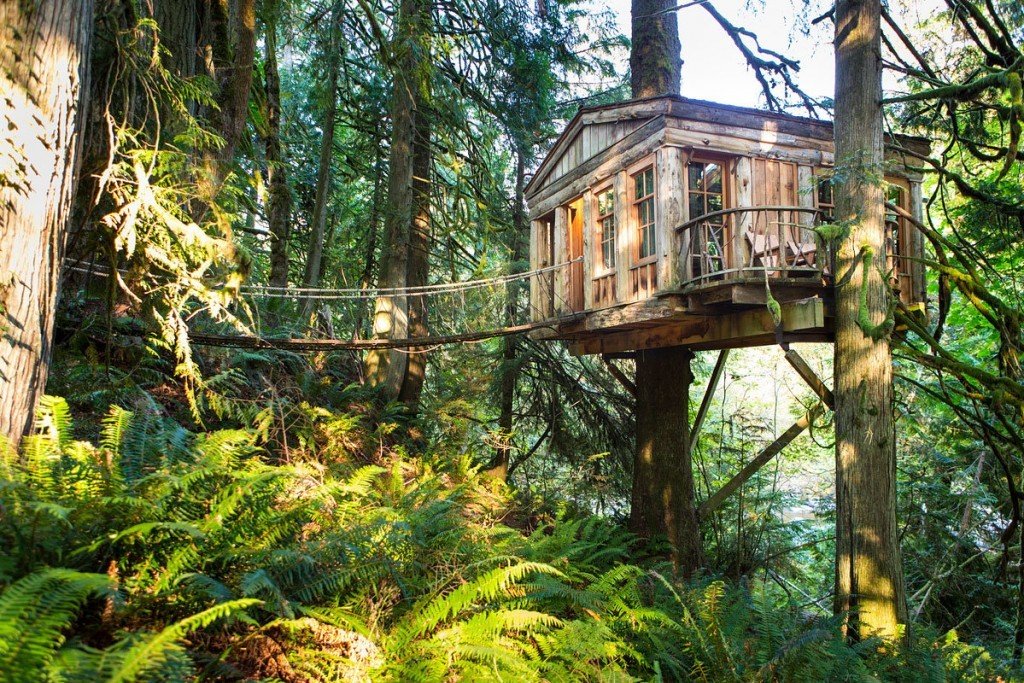 Perfect Tree Houses For Nature Lovers - World inside pictures