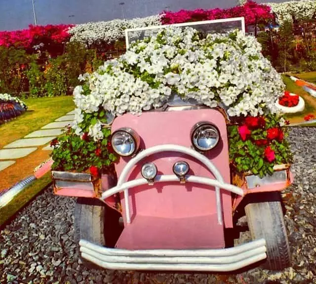Mini Floral Car Garden Projects To Decorate Your Backyard - World ...