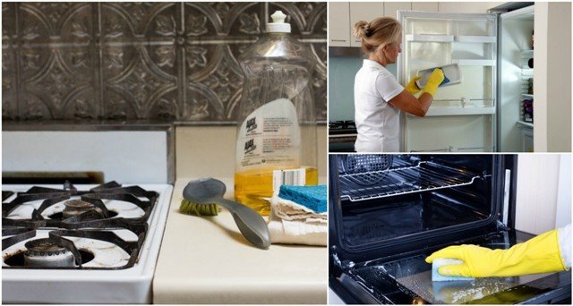 How to Clean Your Kitchen Appliances Without Chemicals And Detergents ...