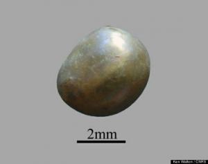 10 Fascinating Facts about Pearls - World inside pictures