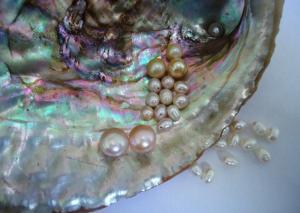 10 Fascinating Facts about Pearls - World inside pictures