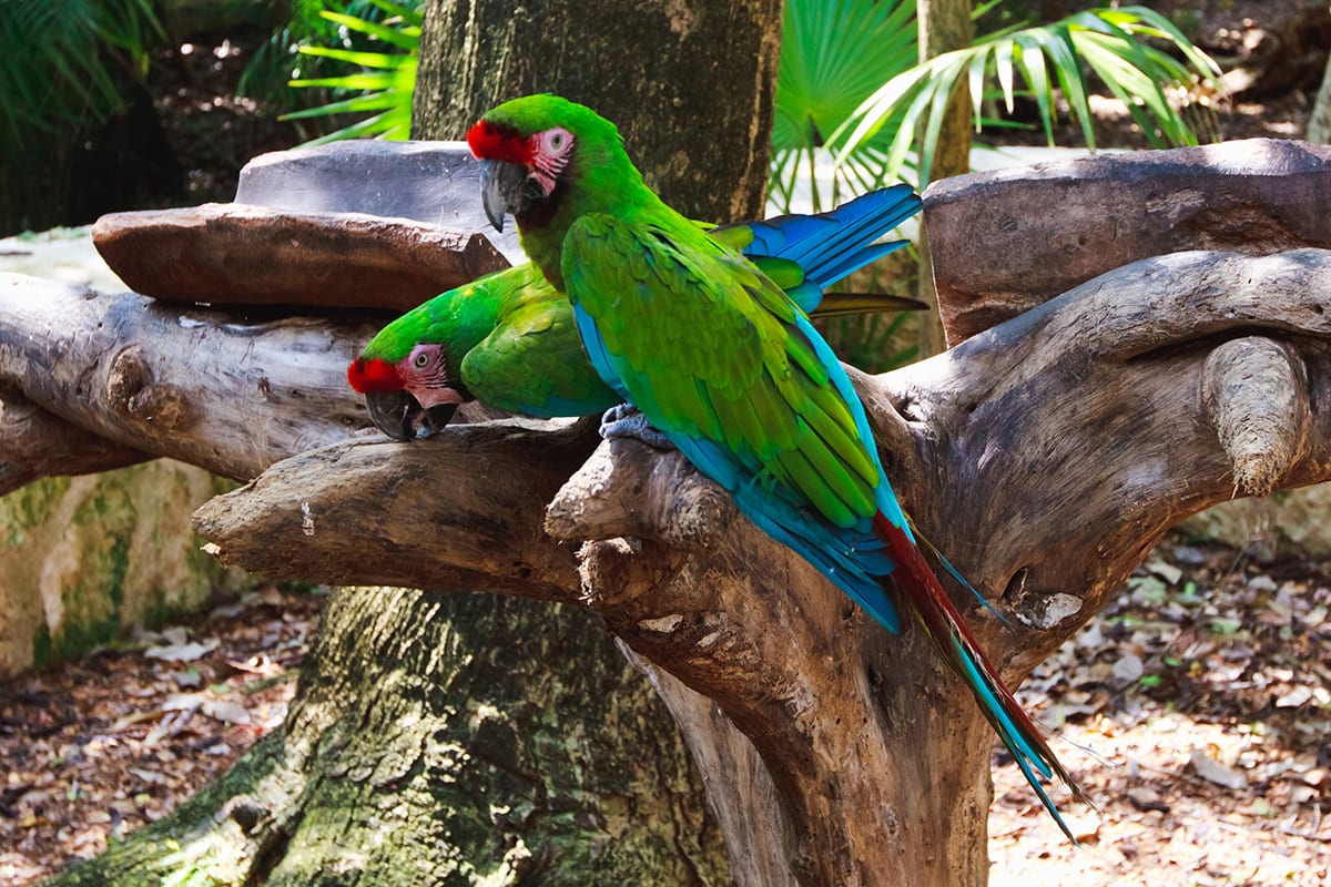 Luxurious Budget-Friendly Summer Destinations - World inside pictures