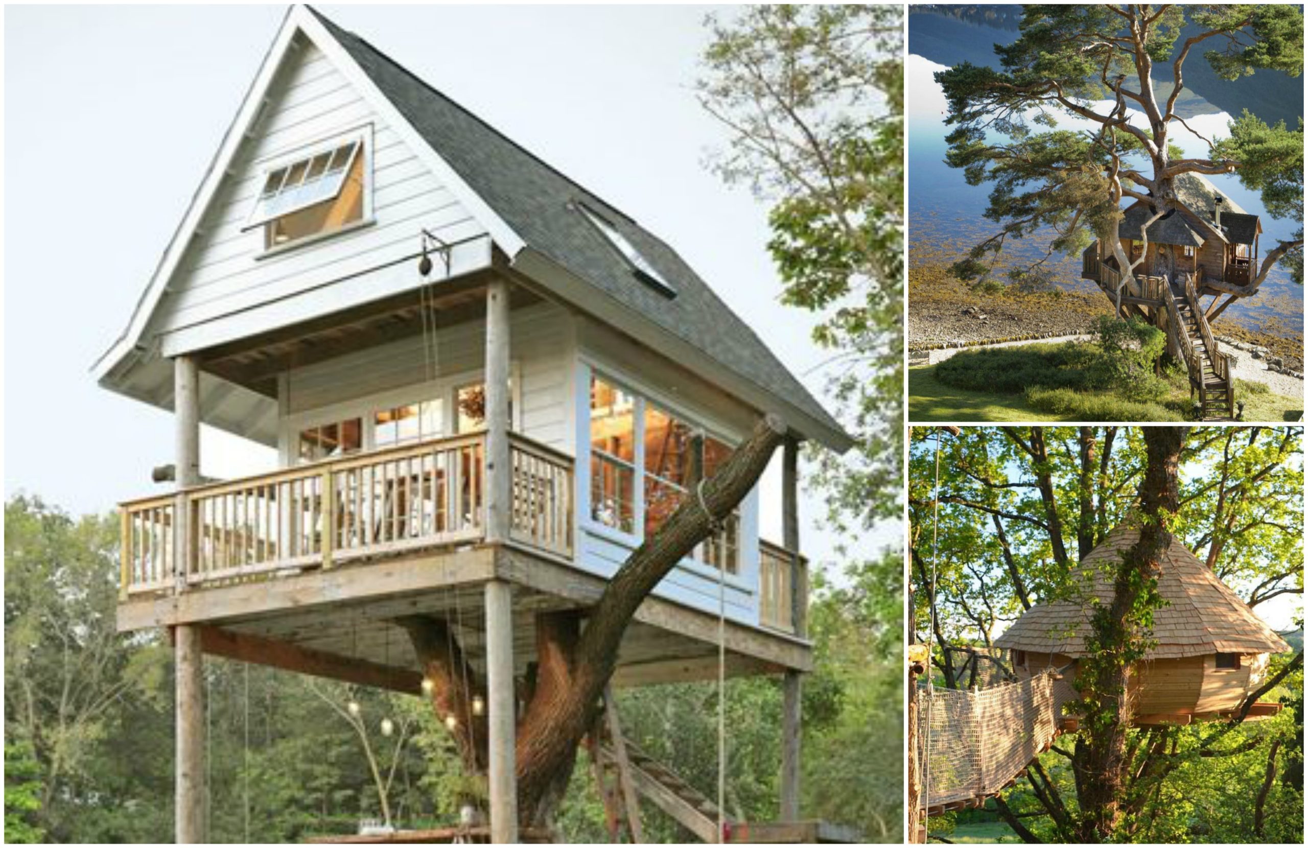 Stunning Tree Houses Around The World To Rent - World inside pictures