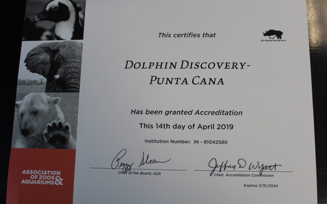 Dolphin Discovery is the only park with the AZA accreditation in Punta ...