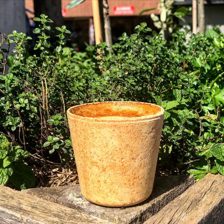 Edible Coffee Cups Made Of Oats And Grains By Good Edi